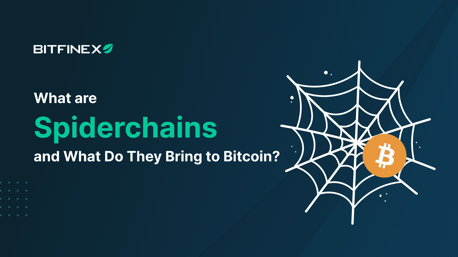 What Are Spiderchains And What Do They Bring To Bitcoin TutArchive What Are Spiderchains And What Do They Bring To Bitcoin TutArchive