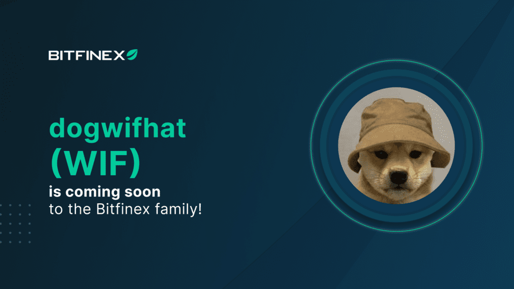 Bitfinex to list WIF, Native Token of DogWIFCoin - Bitfinex blog