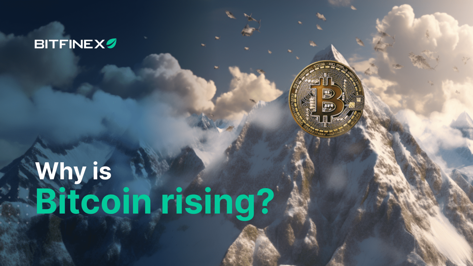 Why is Bitcoin rising? - Bitfinex blog