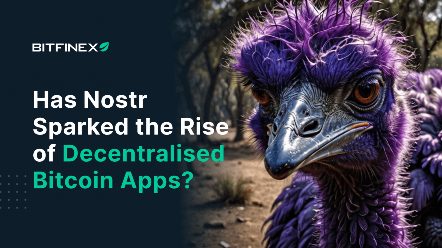 Has Nostr Sparked the Rise of Decentralised Bitcoin Apps? - Bitfinex blog