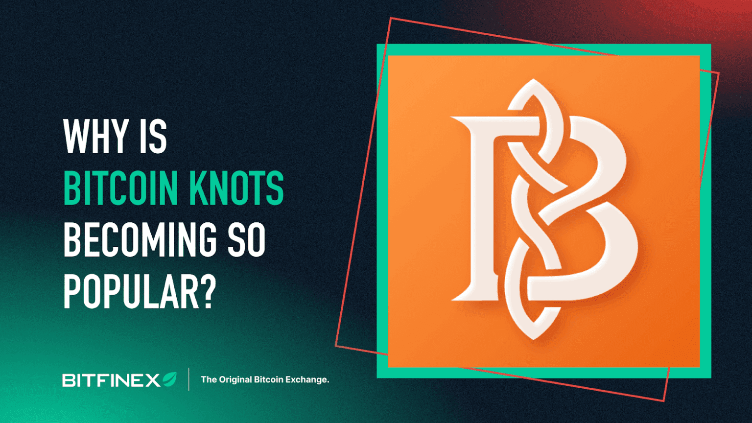 Why is Bitcoin Knots Becoming so Popular? - Bitfinex blog